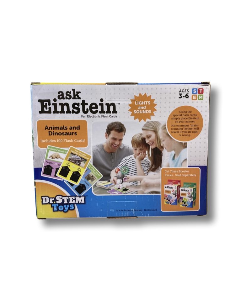 Ask Einstein Fun Electronic Flash Cards - Busy Beez Toy Box