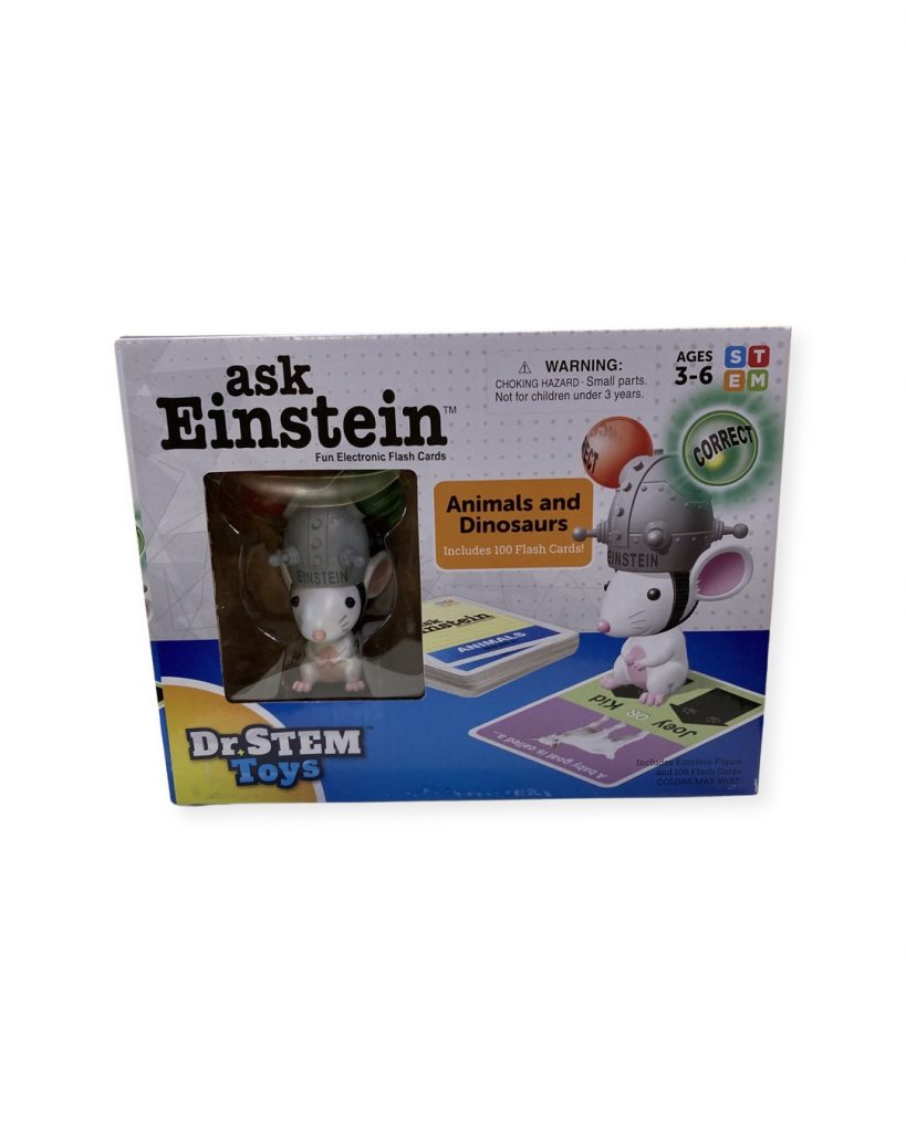Ask Einstein Fun Electronic Flash Cards - Busy Beez Toy Box
